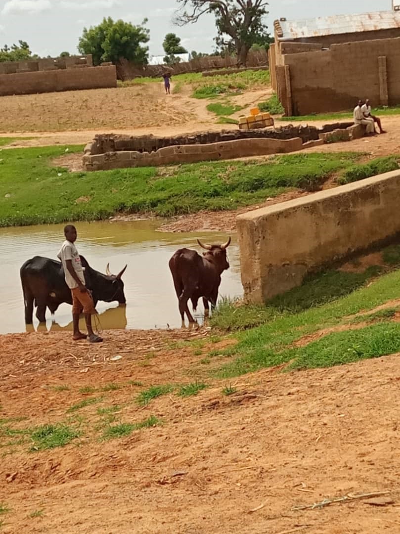 Residents Of Gwaram LGA In Jigawa State Plead With Government To ...