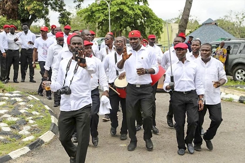 Litany Of Cult Activities In Anambra State - HumAngle