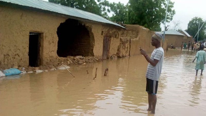 Flood Destroys Over 50,000 Houses in Jigawa - HumAngle
