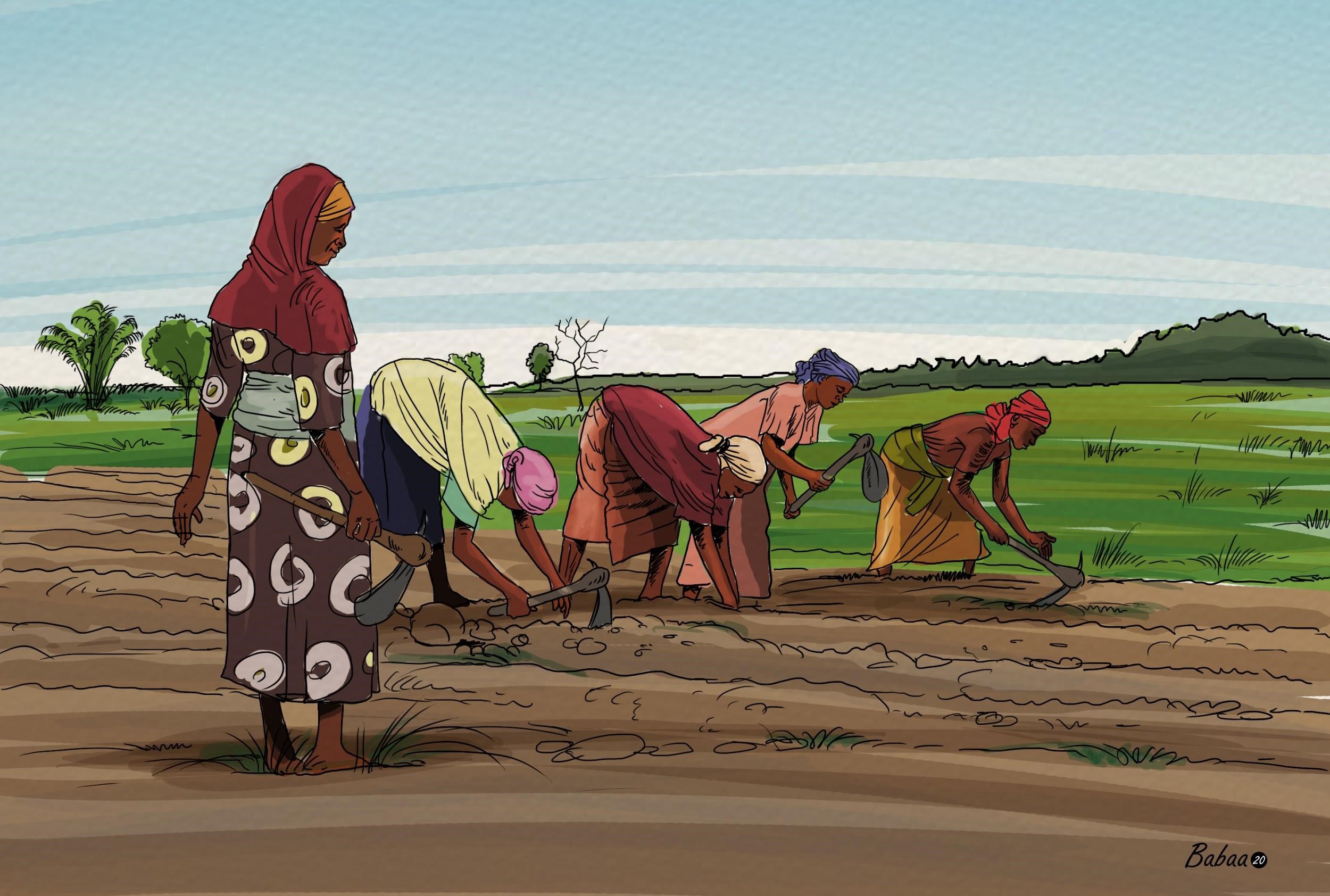 Int’l Day of #RuralWomen: The Invisible Pillars Of Society - HumAngle