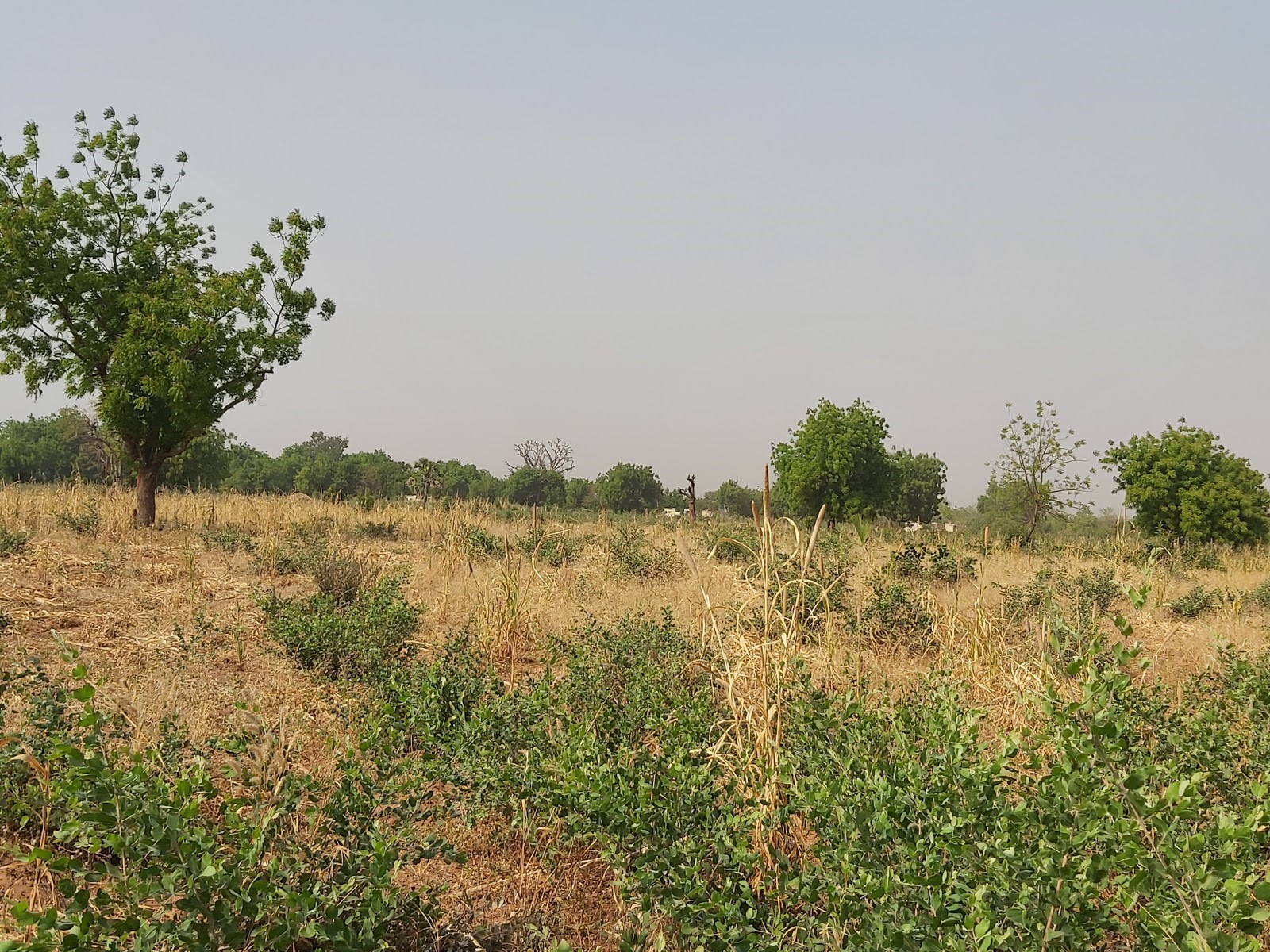 Nigeria Expands Oil Exploration In Kukawa, Benue Trough - HumAngle