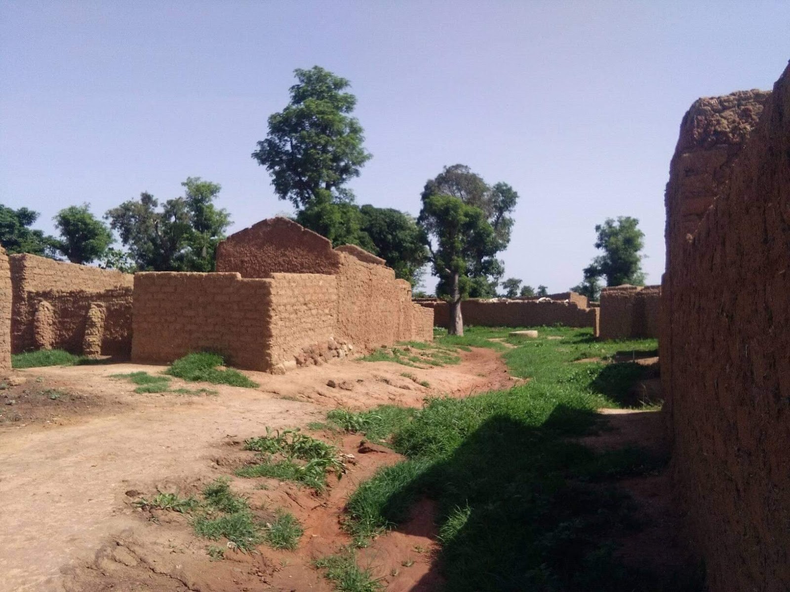 Terrorists Kill Village Head, Younger Brother In Katsina Village - HumAngle