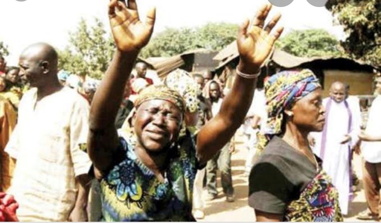 Woman, Six Children Killed In Kaduna Reprisal Attacks - HumAngle