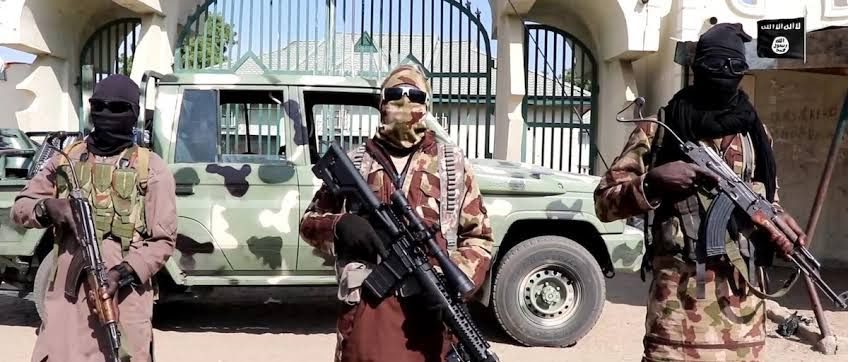 Fears Over Aid Workers’ Safety As ISWAP Overruns Dikwa - HumAngle