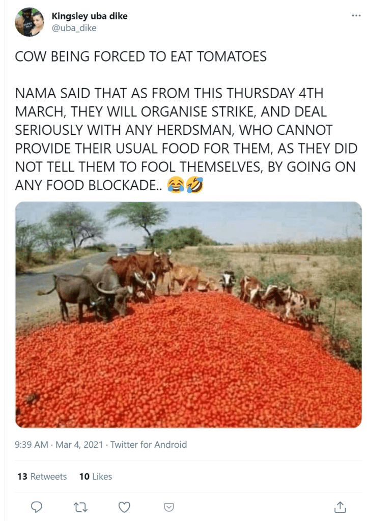 Factcheck: Cows Eating Tomatoes? Picture Taken In India, Not Nigeria ...