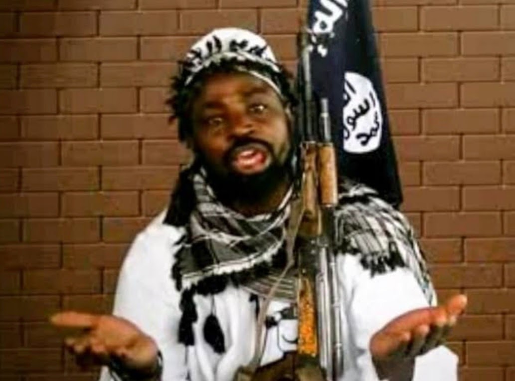 What Shekau's Death Means For Security In Nigeria, Lake Chad - HumAngle