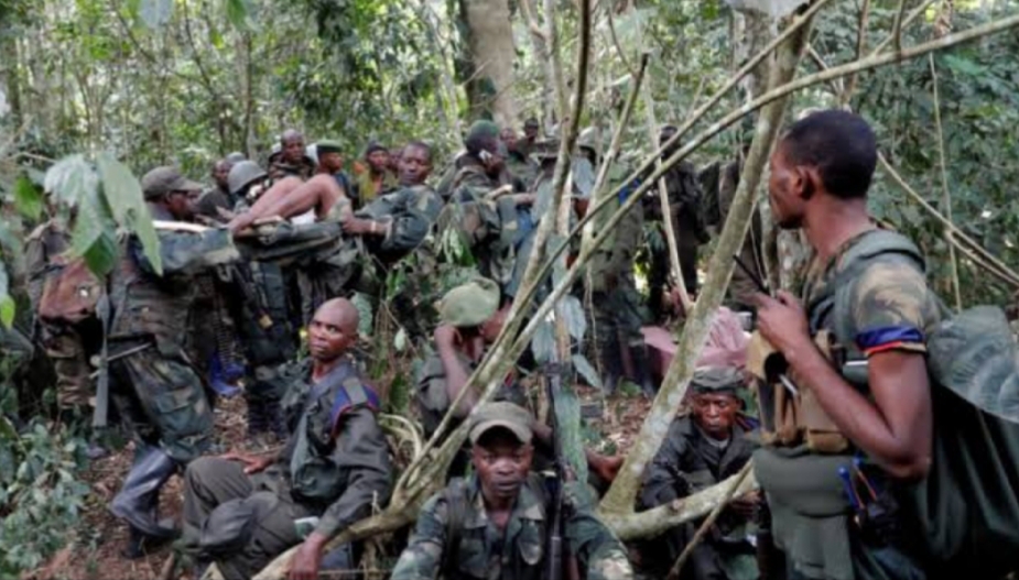 9 Persons Die In ADF Attacks On Oicha, Other Villages In DR Congo ...