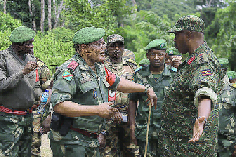 ADF Rebels Kill Over 20 Civilians In Ituri Region Of DR Congo - HumAngle