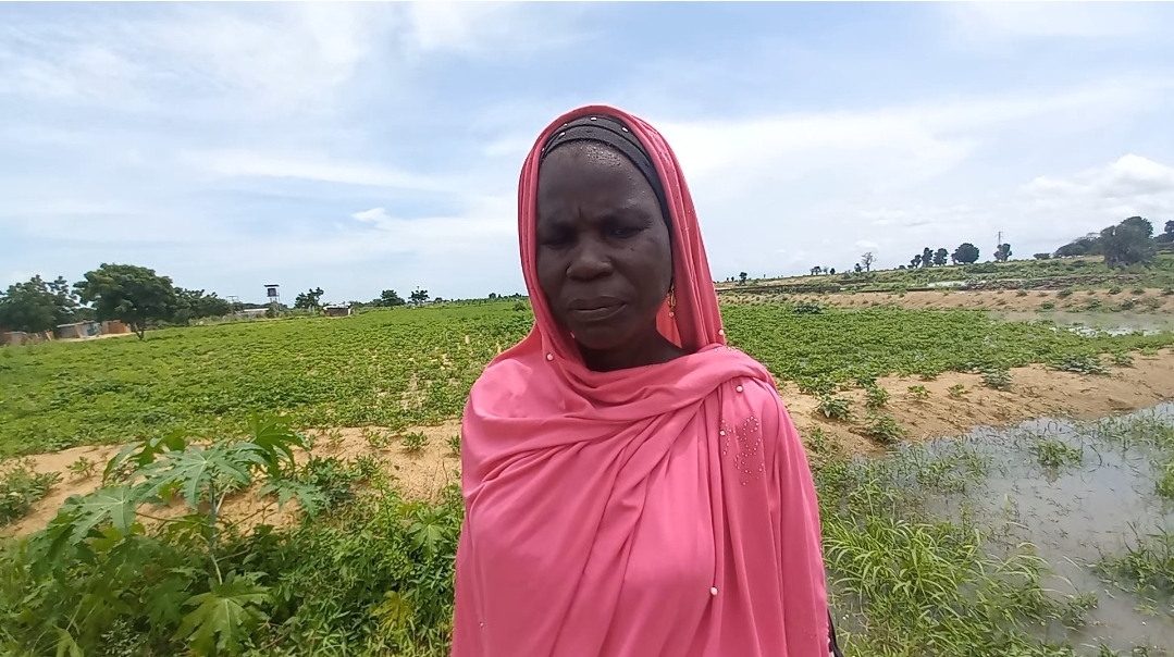 Flood Washes Away Farmlands In Borno - HumAngle