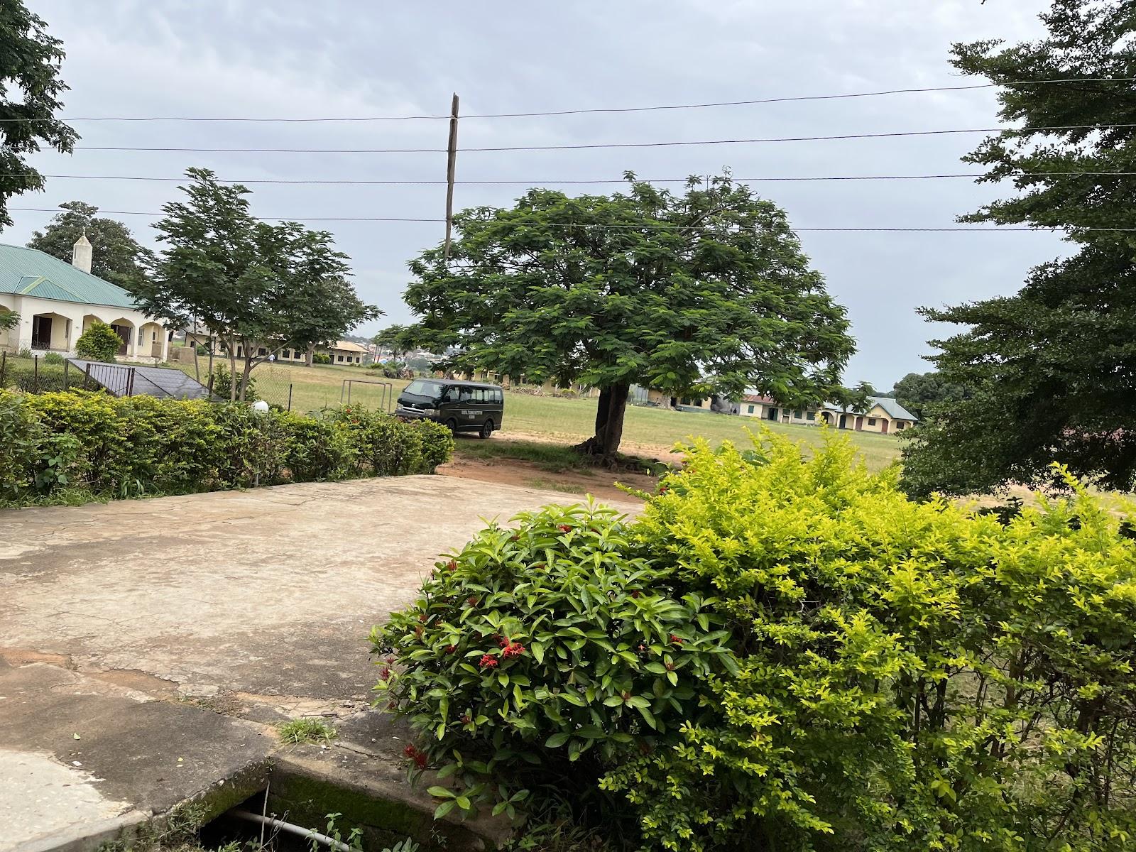 Reforming Children Through Isolation And Brutality: Kaduna Borstal’s ...