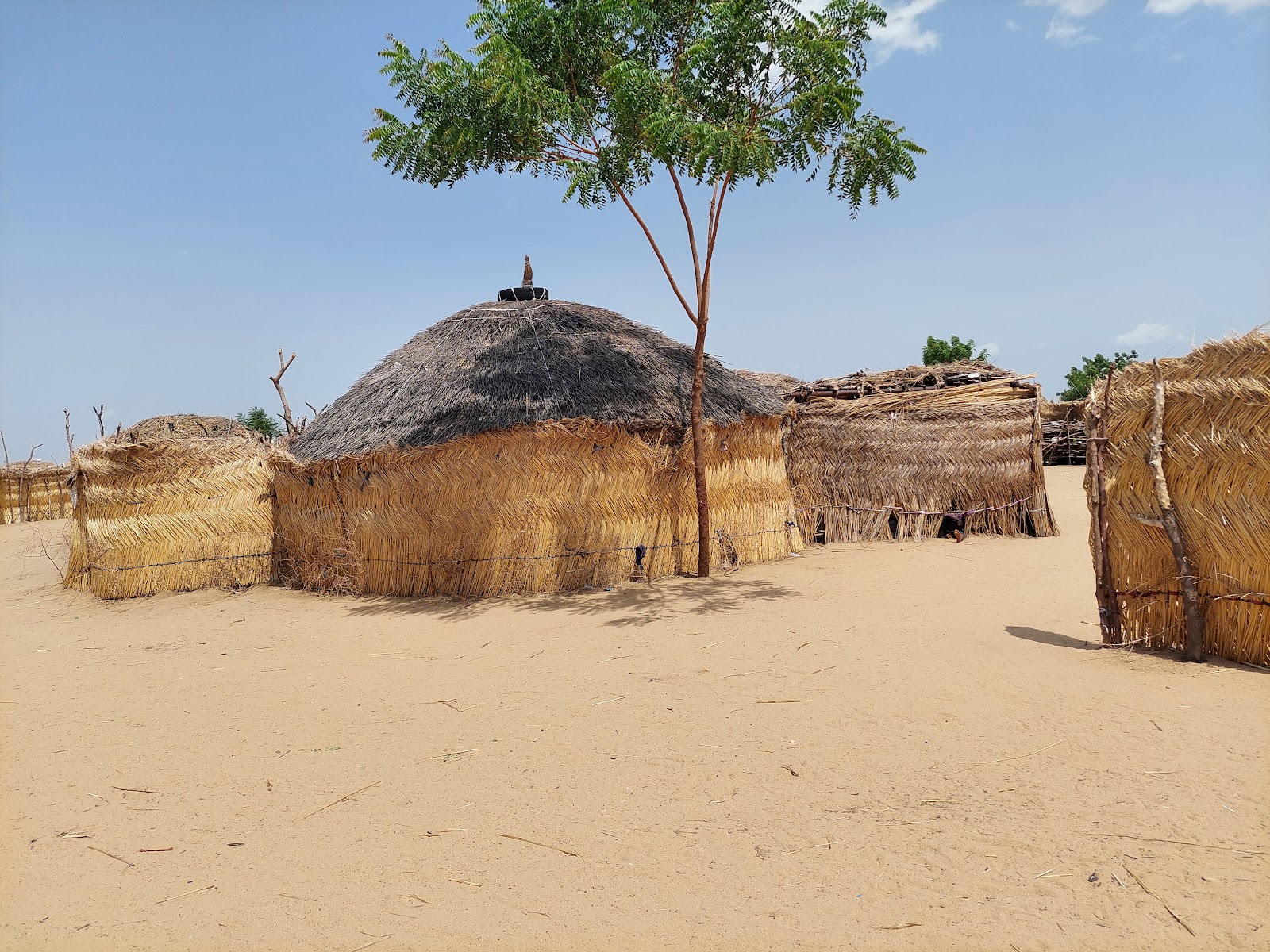 Lost Homes And Herds: The Anguish Of Nigeria’s Arab Community - HumAngle