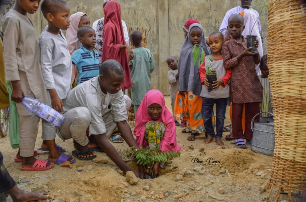Seeds Of Hope: How Tree Planting Is Making Kano Green - HumAngle