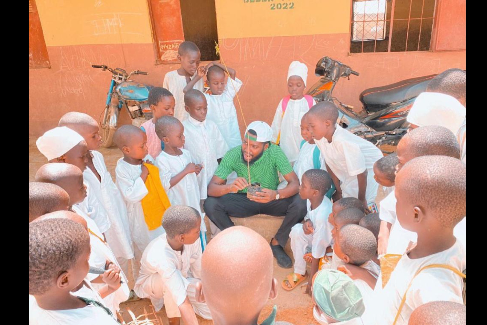 Seeds Of Hope: How Tree Planting Is Making Kano Green - HumAngle