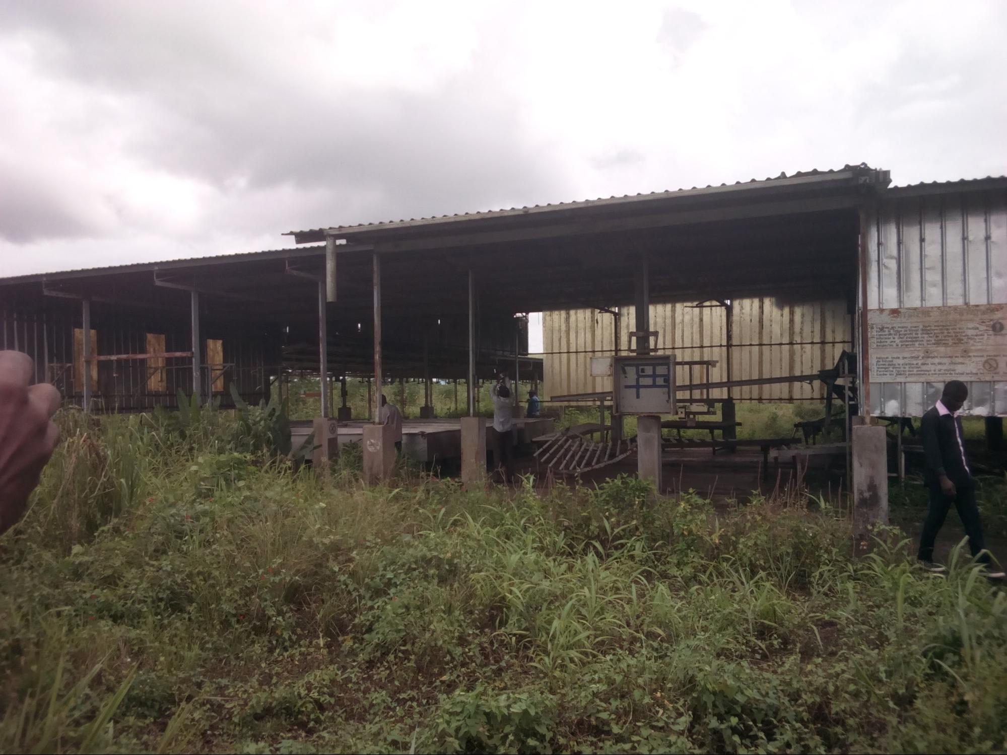 Five Killed, Dozens Injured In Separatist Attack On Banana Plantation ...