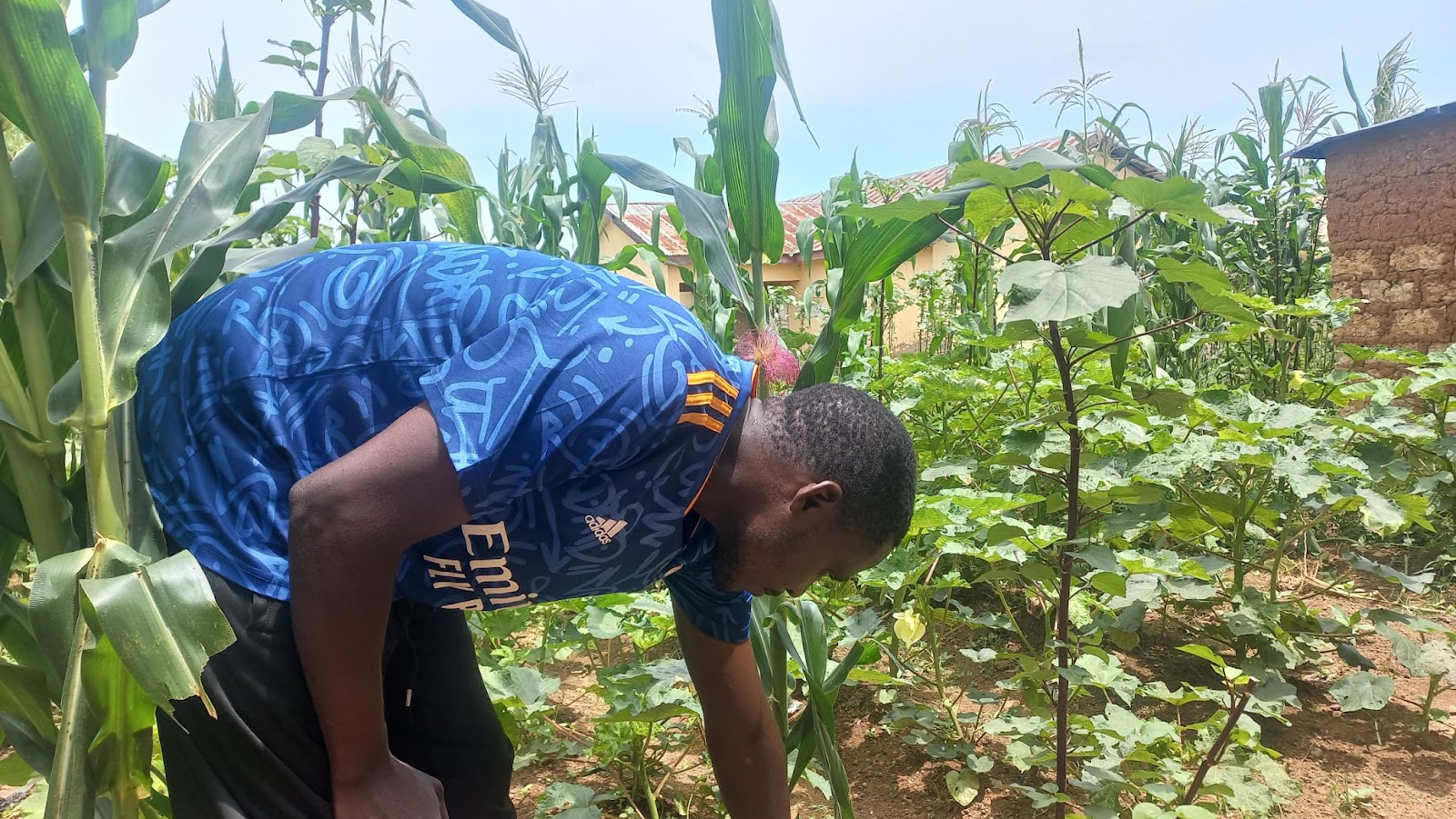 The Initiative Enabling Nigerian Farmers To Grow And Earn More - HumAngle