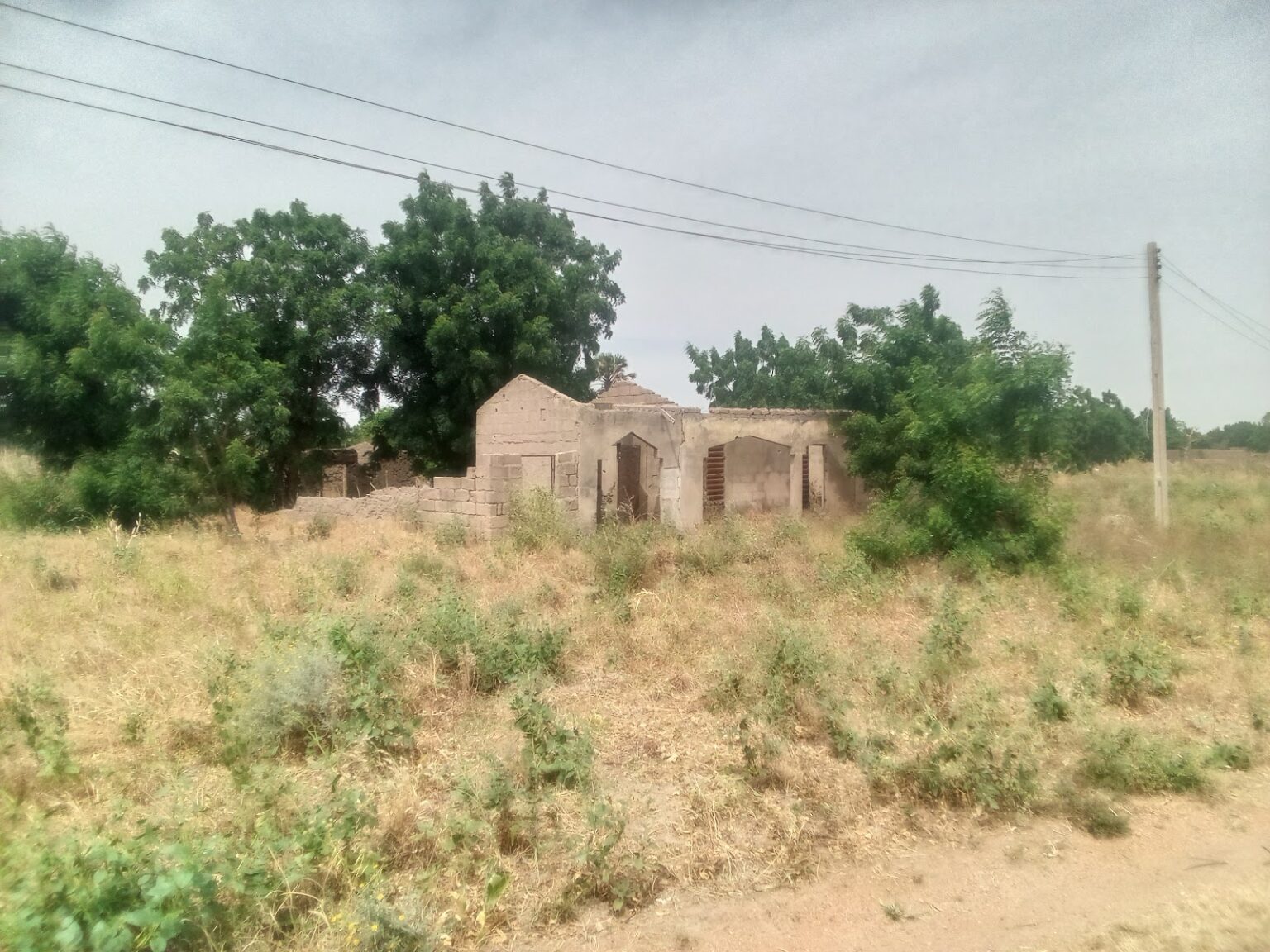 Warabe: A People Fighting Terror To A Standstill In Borno - HumAngle