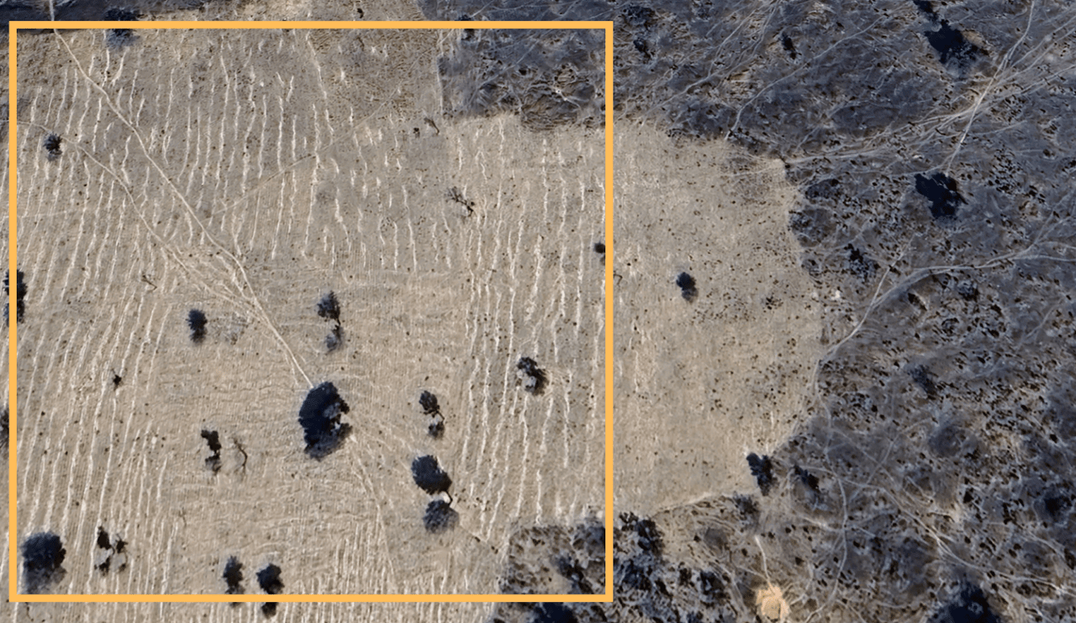 The Rise And Fall Of Settlements In Nigeria’s Ungovernable Forest ...