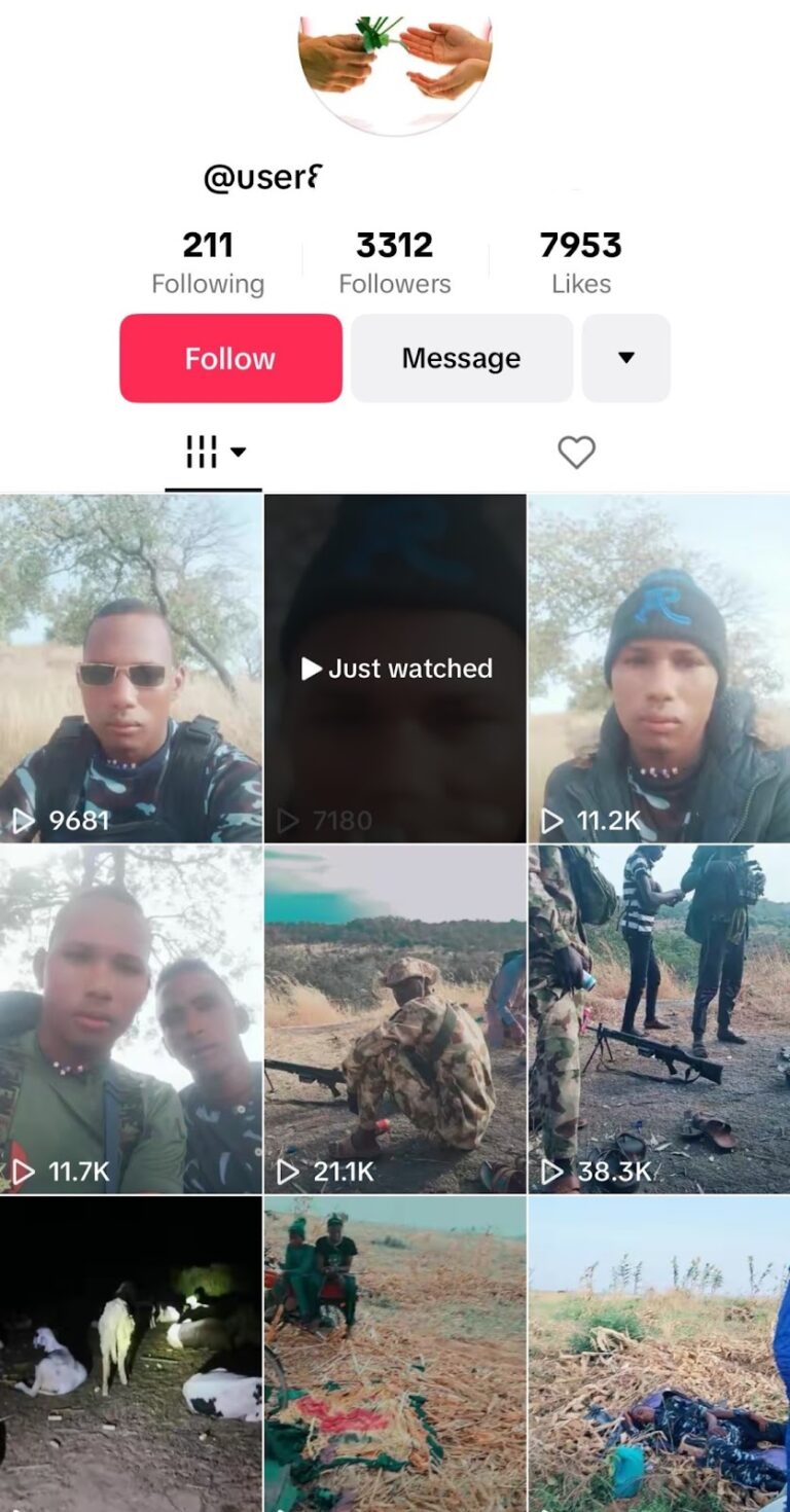 Inside The Propaganda World Of Nigerian Terrorists On Tiktok - HumAngle