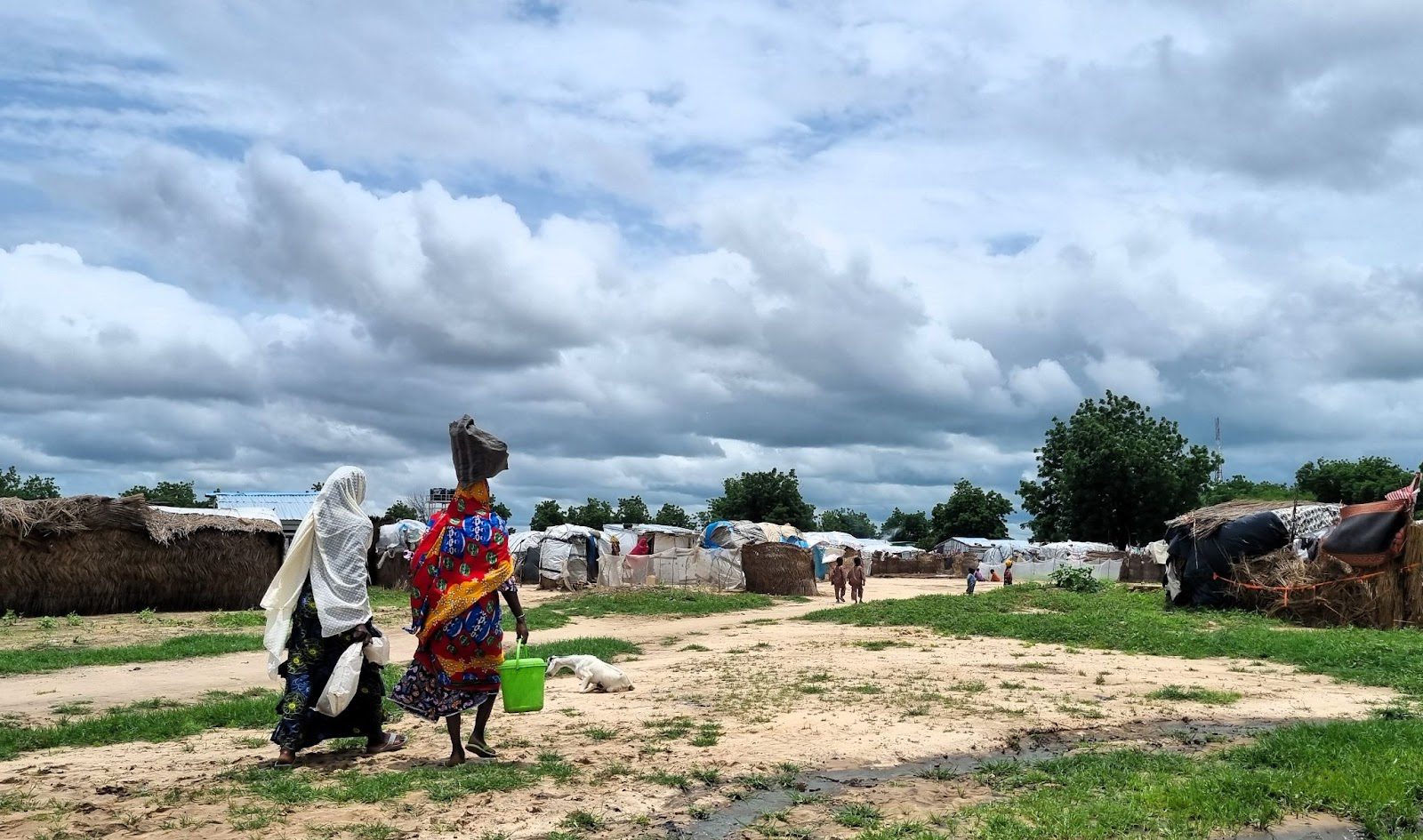 Borno IDPs Relocated to Their Hometown of Ajiri Say They’re Worse Off ...