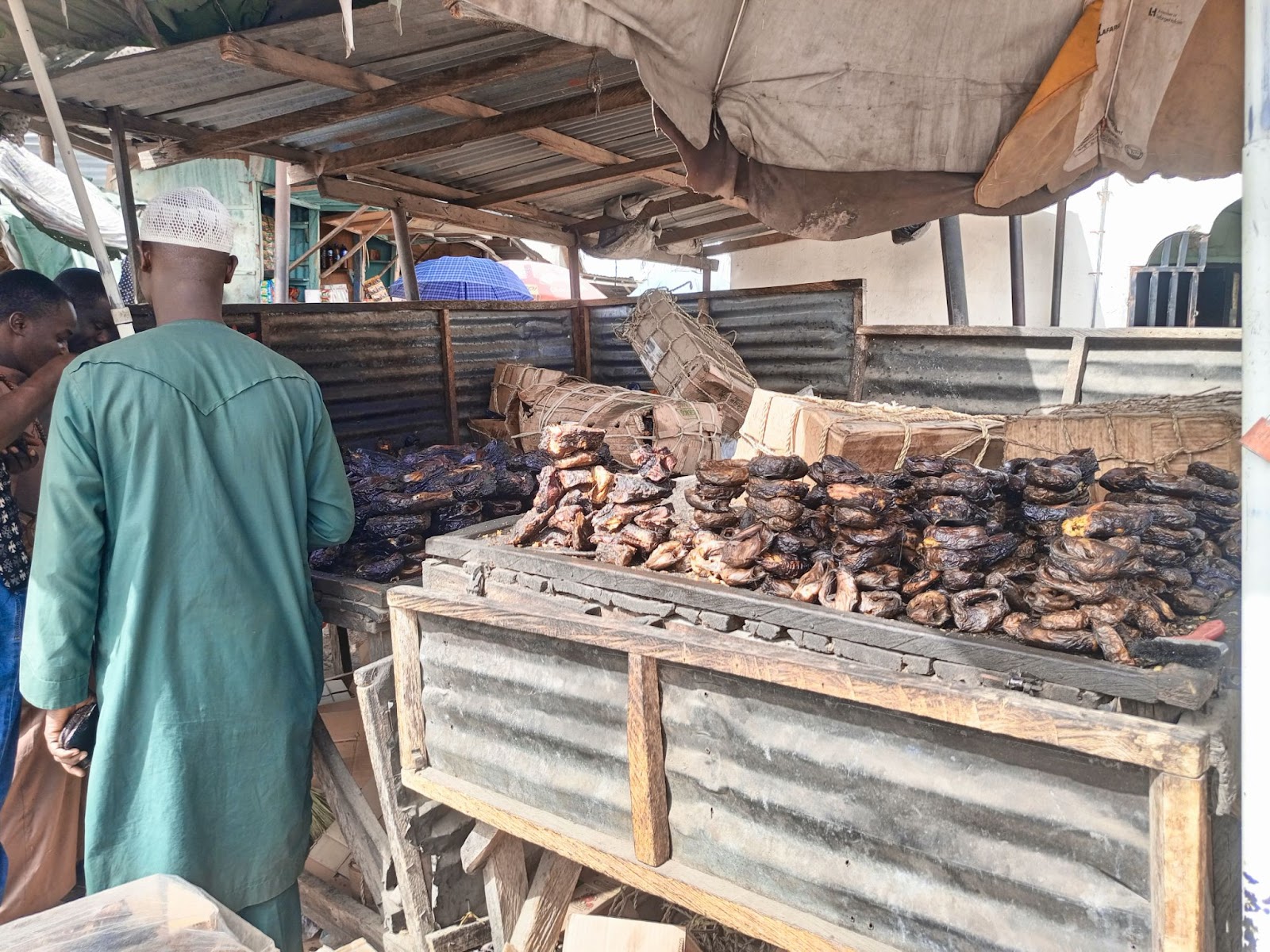 Farmers and Fishers in Nigeria’s North Caught between State and Non ...