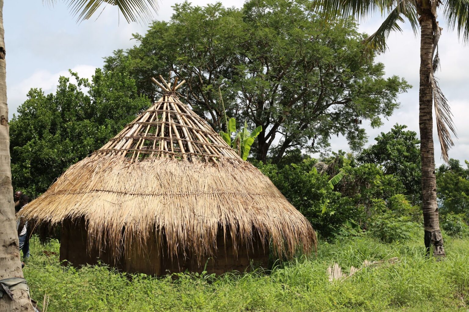 The Forest Exploits of Nigeria’s Blood-Thirsty Terrorists - HumAngle